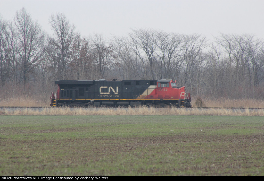 CN 2244